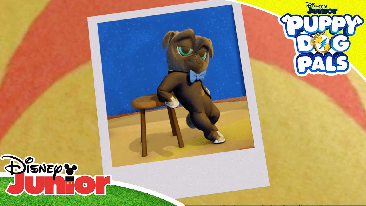 📸 Picture Pups | Puppy Dog Pals | Disney Kids - YouTube