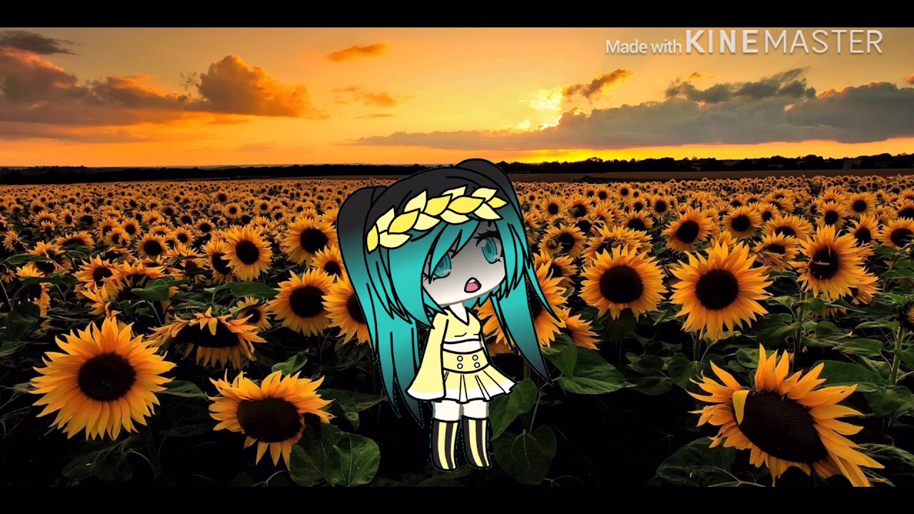 Sunflower [gacha life] - YouTube