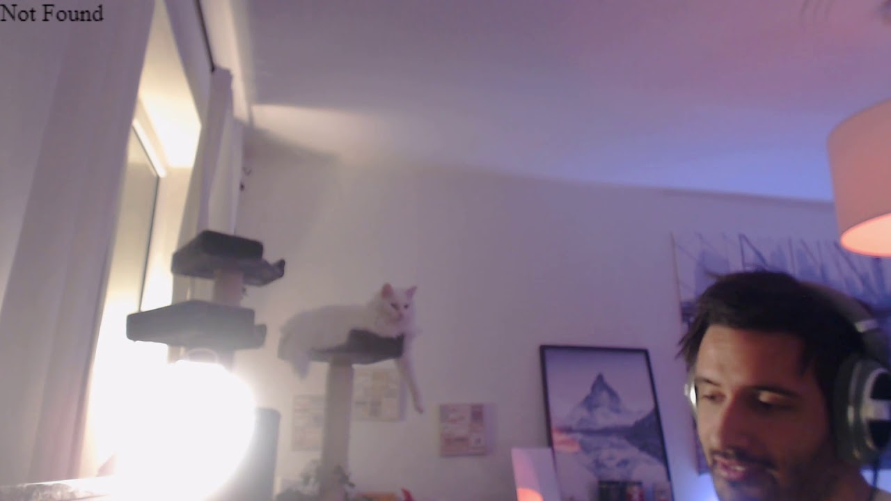 NymN makes Apollo sleepy - YouTube