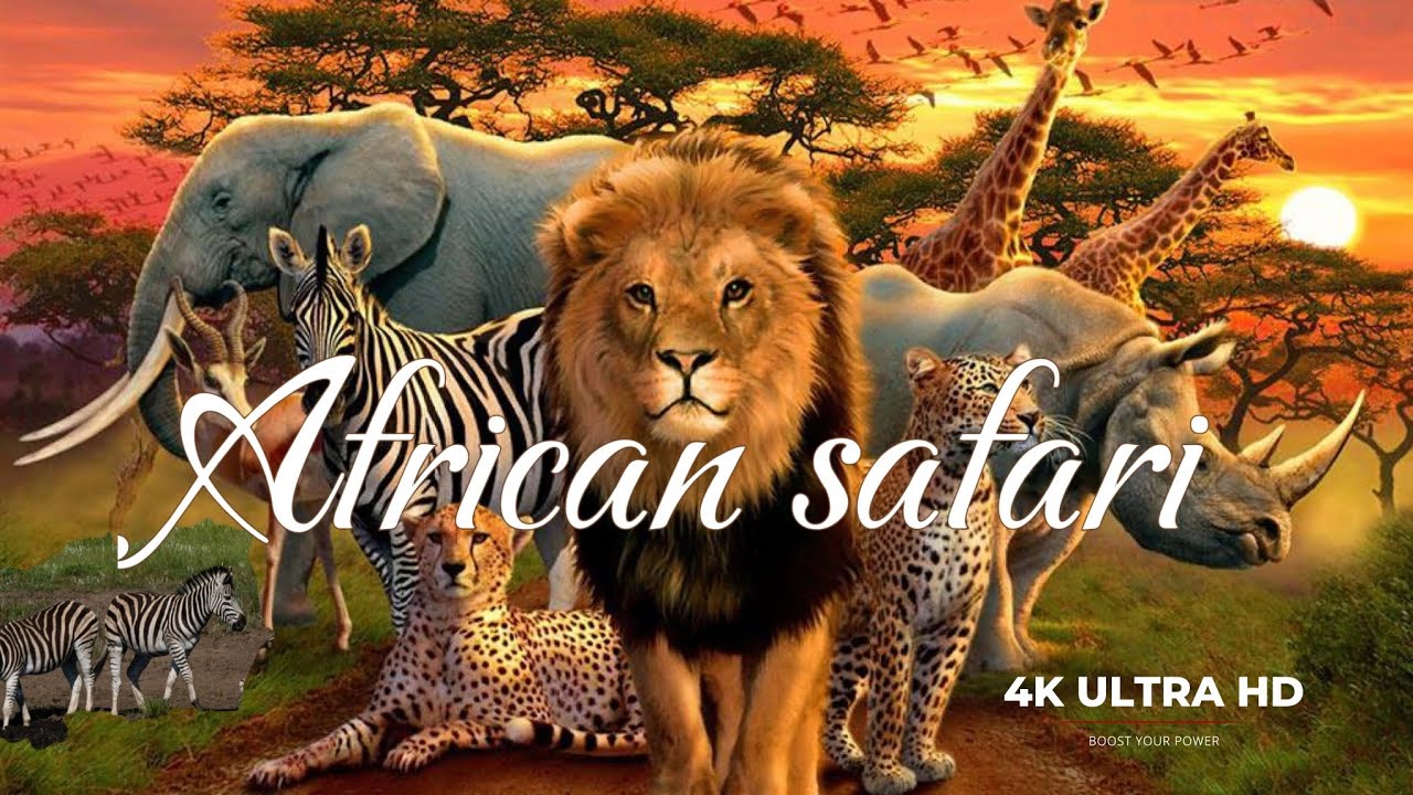 African safari 4k amazing wildlife of African savanna | scenic ...