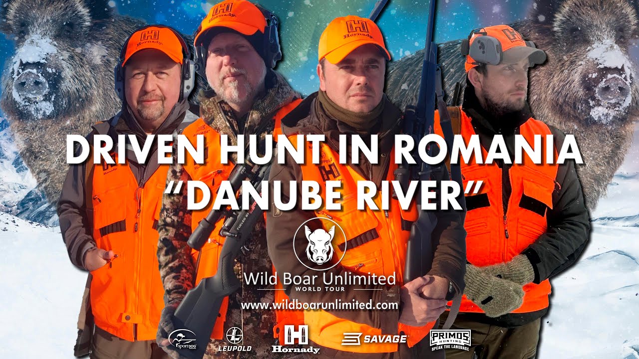 Driven Hunt in Romania "Danube River" | Season 3 | Wild Boar Unlimited ...
