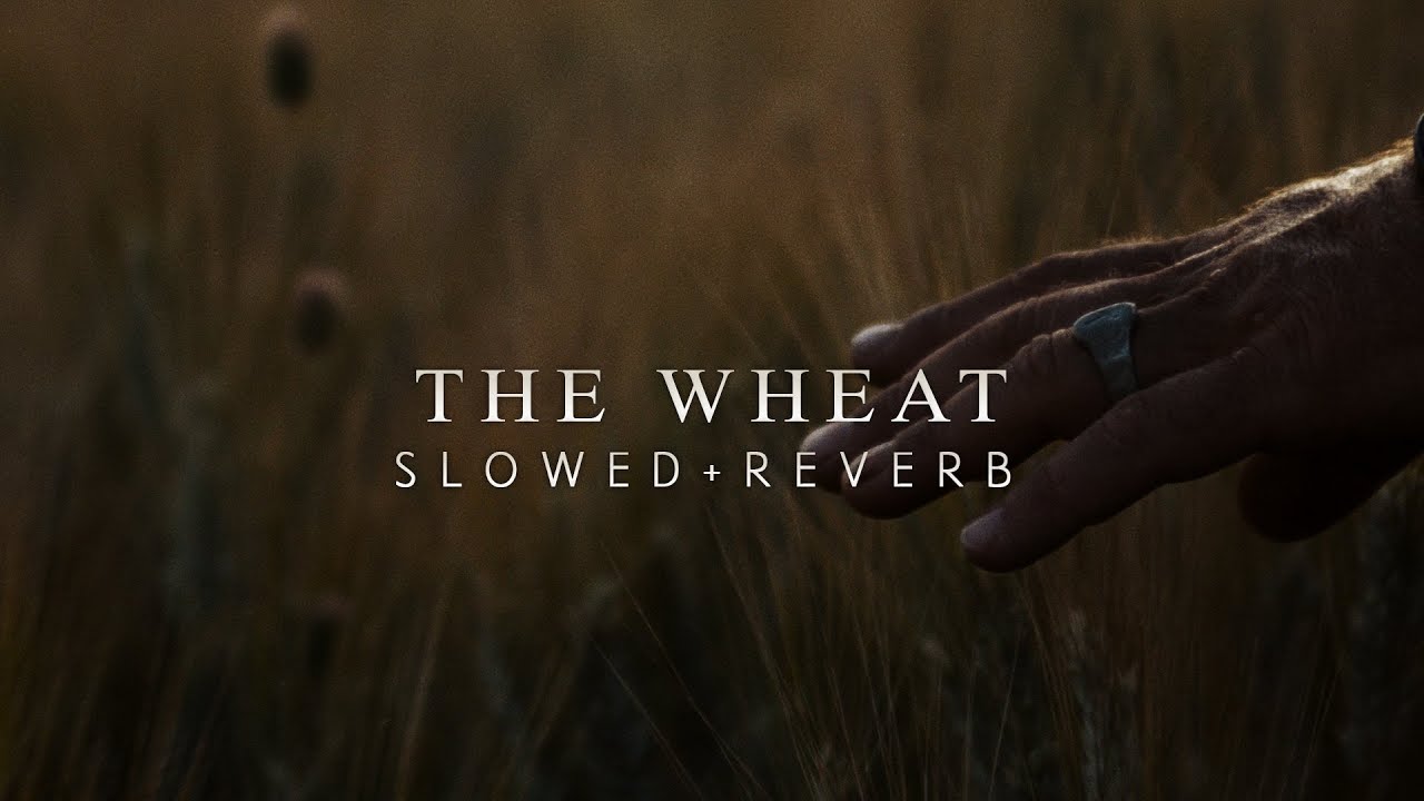 Gladiator - The Wheat (Slowed + Reverb) - YouTube