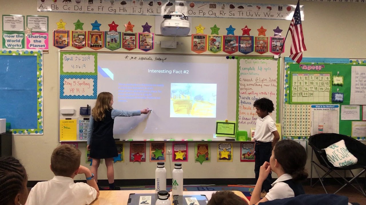 Second Grade Life Cycle Research Project - YouTube