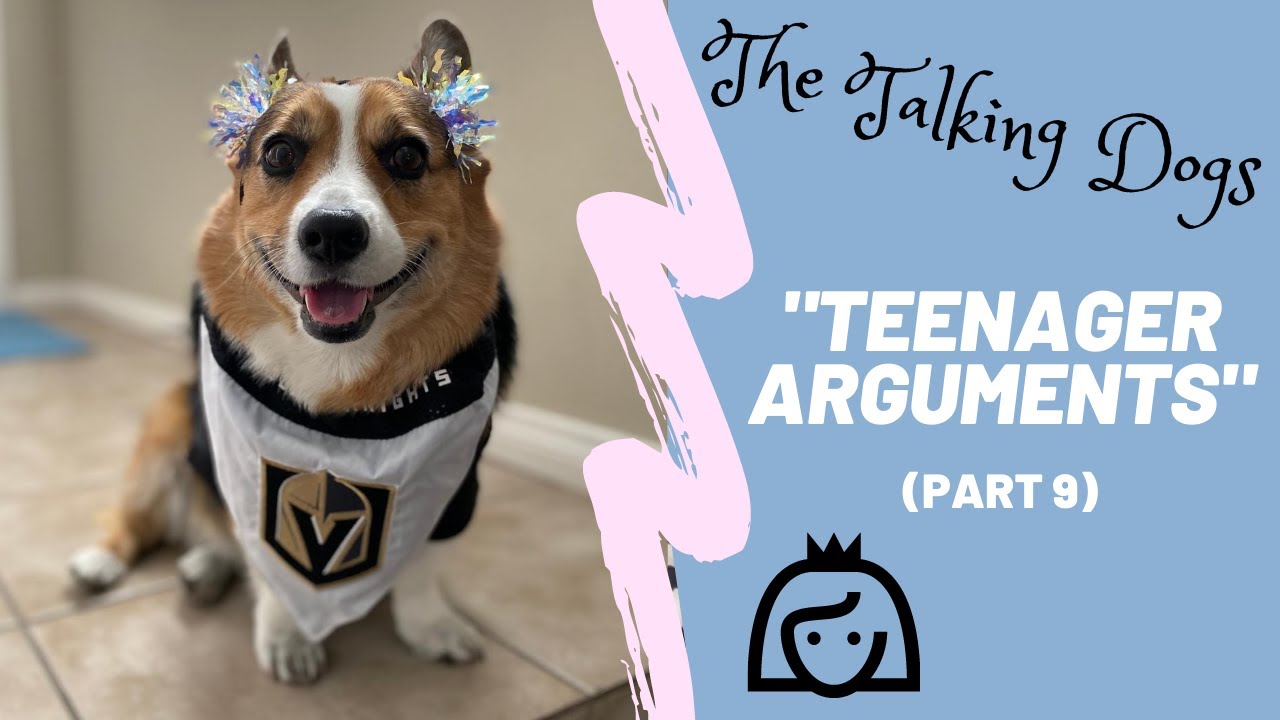 Sassy corgi comes back from a rave | Hammy and Olivia - YouTube