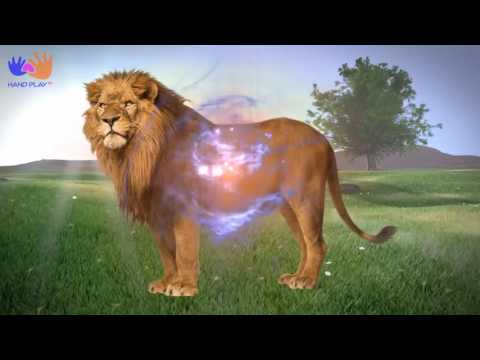 Learn Alphabet with Cartoon & Real Animals for children ABC Wild ...