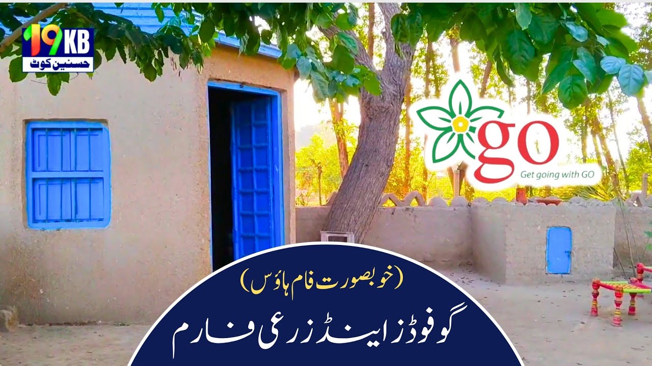 Ch. Tahir Iqbal Jutt Sahib Ka Farm House | Go Foods and Go Agricultural ...