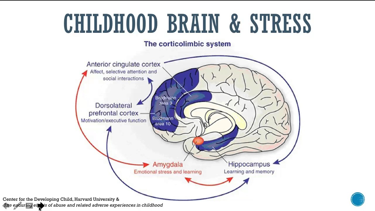 ACES Study Teacher to Teacher - YouTube