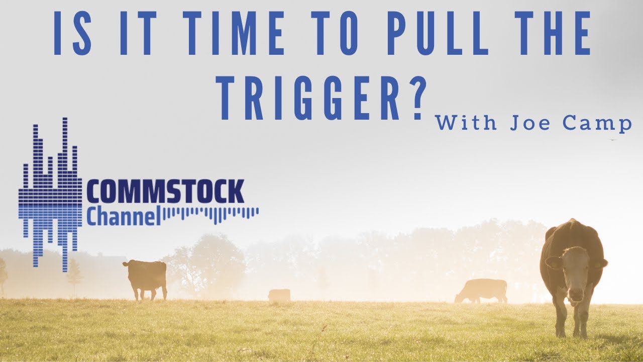Is It Time To Pull The Trigger - YouTube