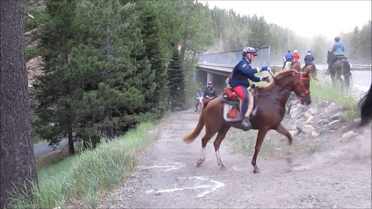Tevis Cup - 23 July, 2016 - YouTube