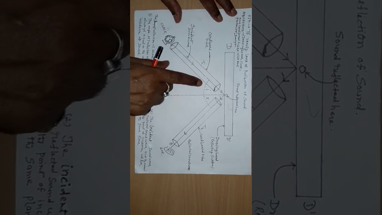 Class 9 Physics Lab Laws of reflection of sound - YouTube