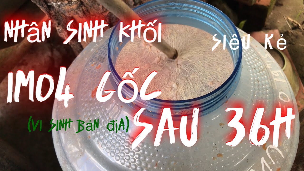 Cách nhân sinh khối IMO4 đơn giản,tiết kiệm, thành công cao - YouTube