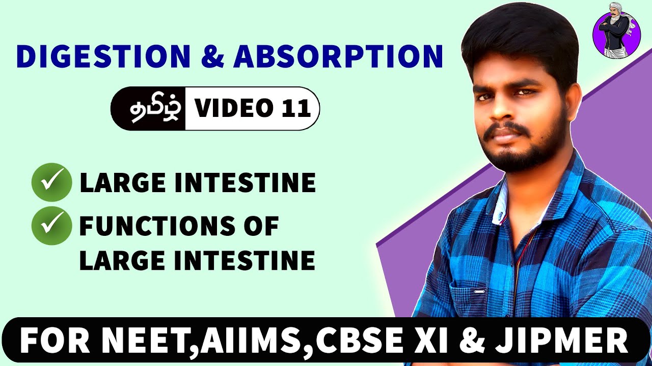 Large Intestine In Tamil Digestion Adsorption In Tamil 11 YouTube large-intestine-in-tamil-digestion-adsorption-in-tamil-11-youtube