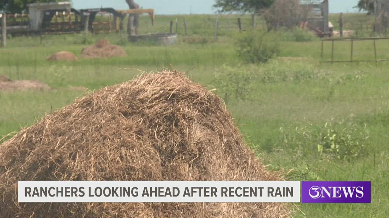 Mother Nature is improving the lives of South Texas farmers and ...