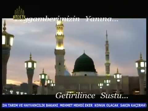 MUSTAFA CAYMAZ- HURMA KÜTÜĞÜ