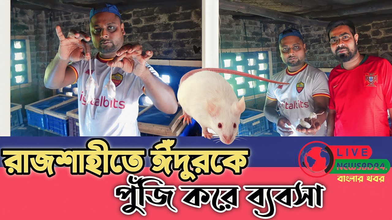 ইঁদুরের খামার থেকে আয় লাখ টাকা | Rajshahi Rat Farm | Rat Farm | White ...