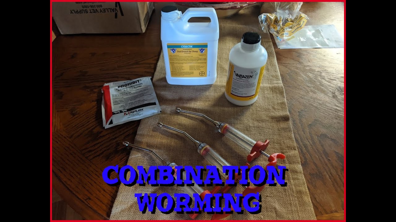 Using Combination Wormers for our Sheep and Goats - YouTube