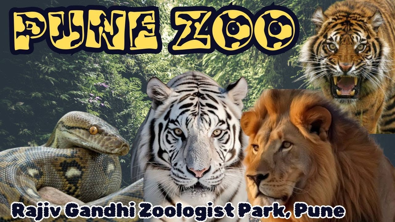 Rajiv Gandhi Zoological Park|Snake Park|Katraj Zoo-Complete guide |Pune ...