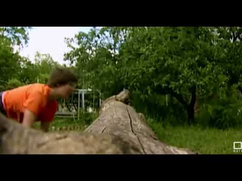 Oxana Malaya: feral human