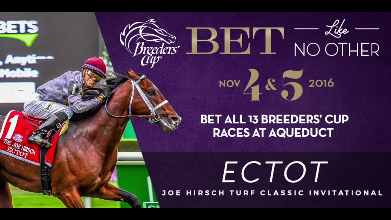 Ectot - Road to the Breeders' Cup - YouTube