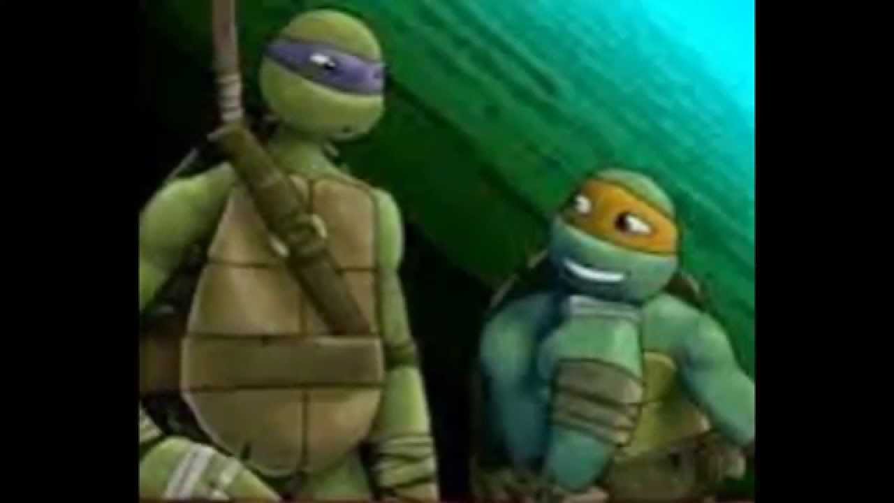 Leo and Raph Mikey and Donnie - YouTube
