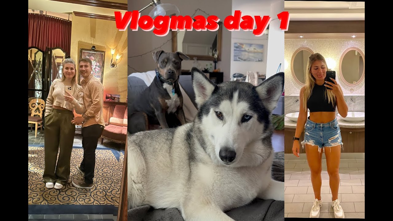 VLOGMAS DAY 1 - wrapping gifts & Christmas tree fail - YouTube