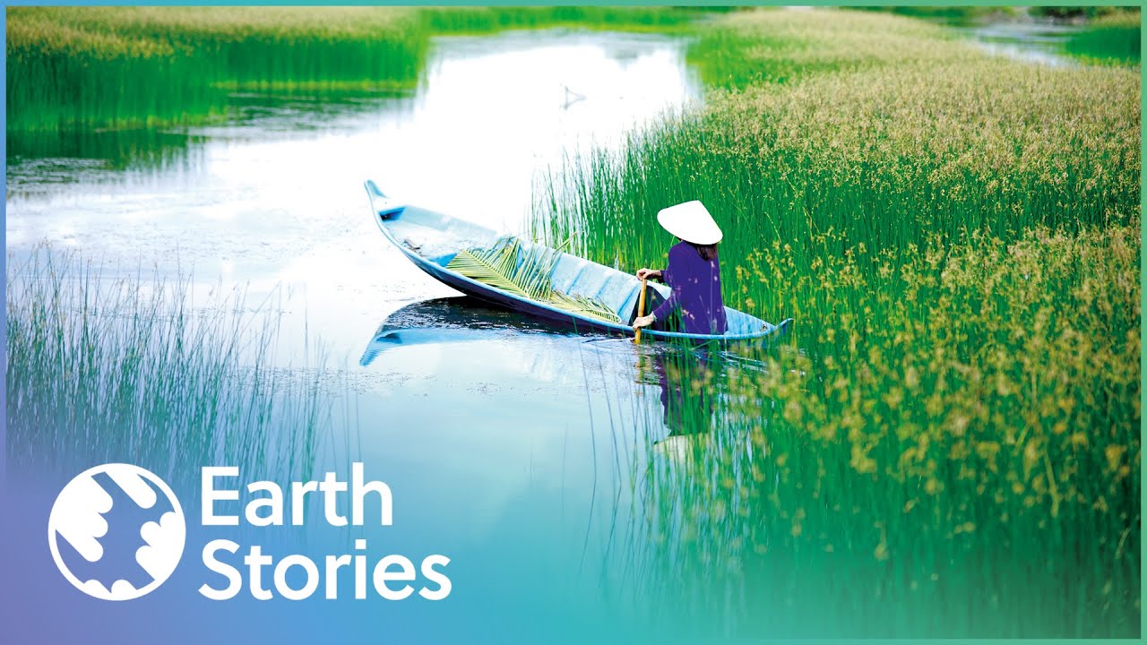 Inside Vietnam's Fight For Freshwater | The Longest Day - YouTube