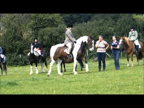 Uplands Show Working Hunter Class [1st place] - YouTube
