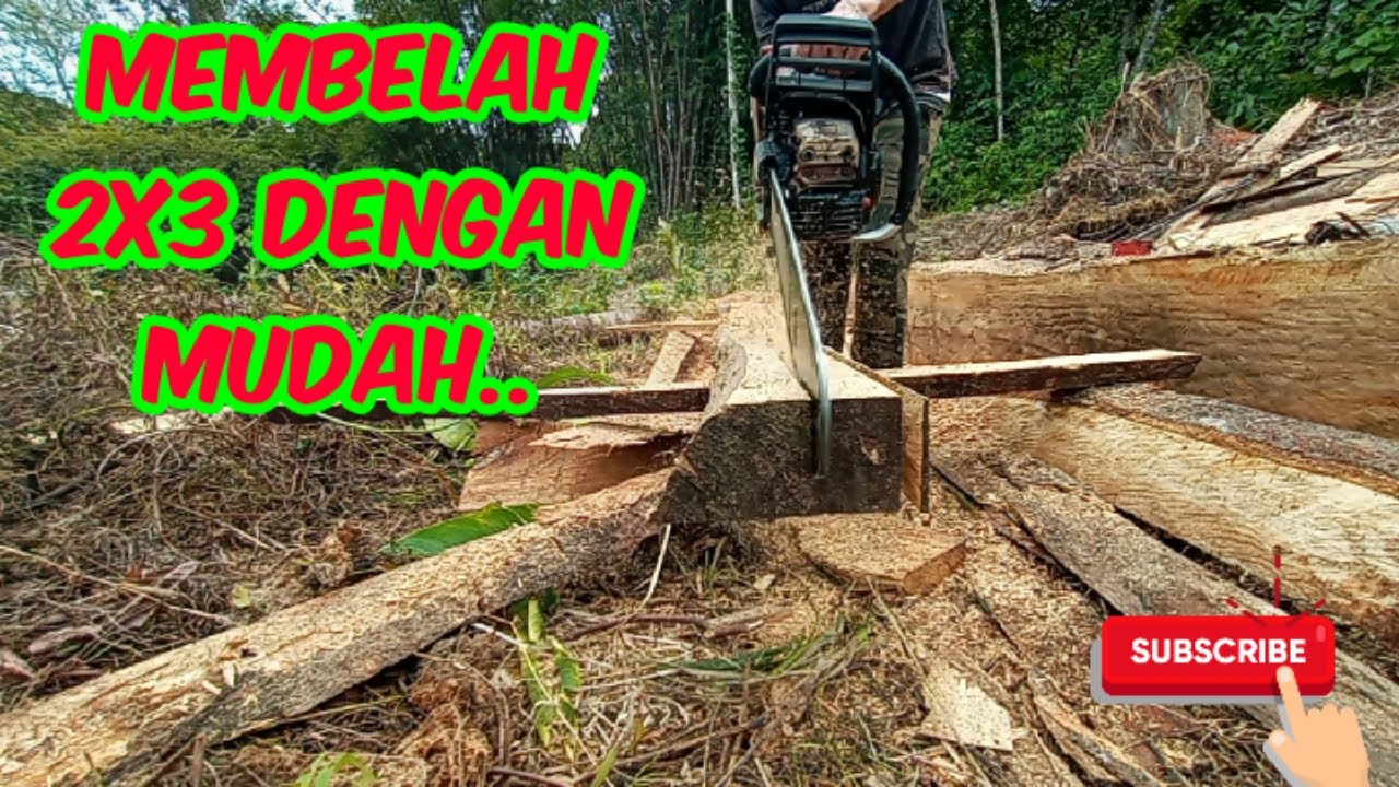 Cara belah kayu menggunakan chainsaw ogawa pro vx8224 (cara belah kayu ...