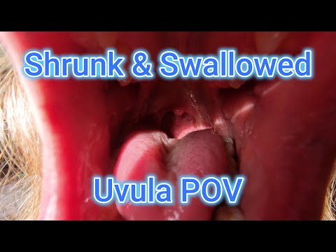 Shrunk & Swallowed – Uvula Preview