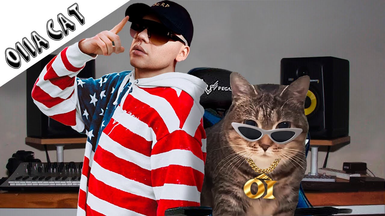 OIIA CAT || BZRP Music Sessions #62 (OIA SPINNING CAT) - YouTube