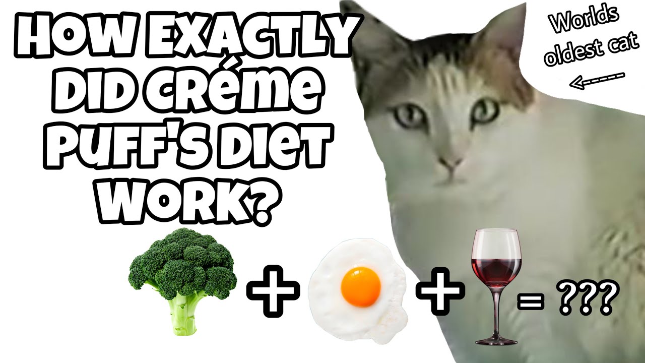 How Exactly Did Créme Puff’s Diet Work? - YouTube