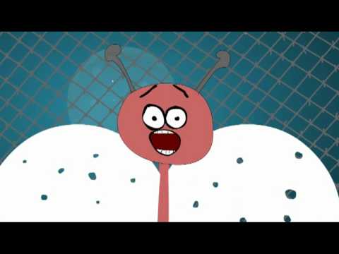 PINDOL - STRZYKAWY (ODC. 44) - YouTube