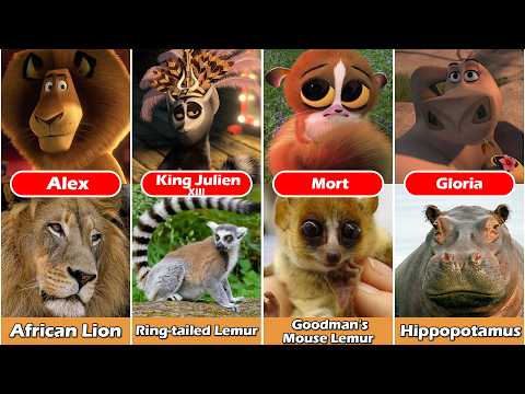 Madagascar Characters vs Real Life Animals 