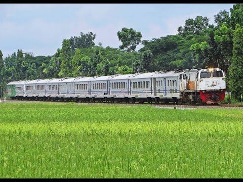 Hunting Kereta Api Awal Tahun 2017: Gajayana Bawa Kawis Nusantara