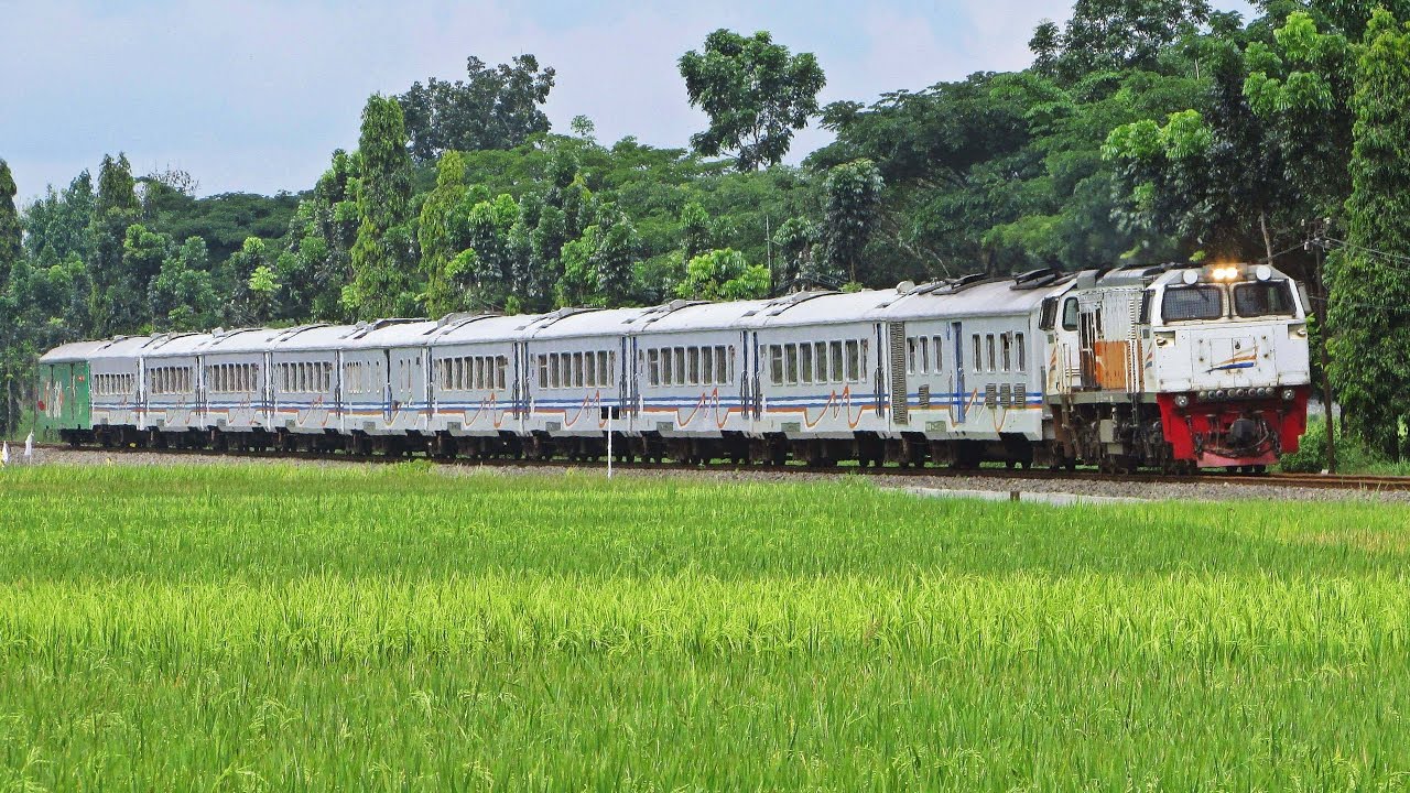 Hunting Kereta Api Awal Tahun 2017: Gajayana Bawa Kawis Nusantara - YouTube