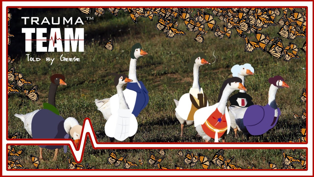 (Fake) Trauma Team Told by Geese | S1 Finale [THERE IS A SECRET IN THIS ...