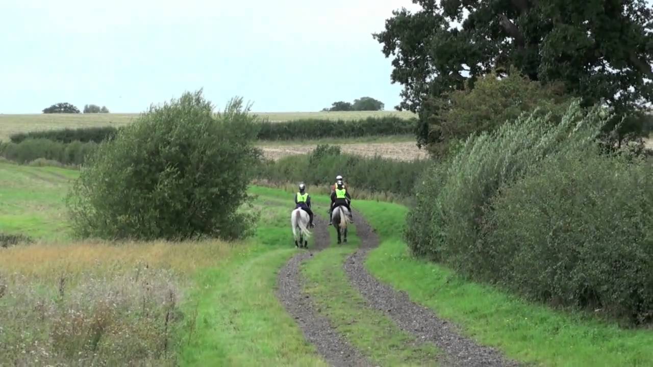 The College Ride - YouTube