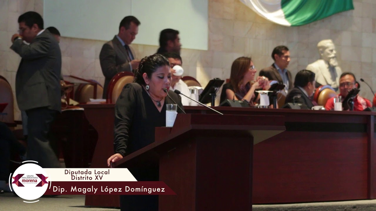 Dip.Magaly López Domínguez (Intervención 21/08/2019) - YouTube