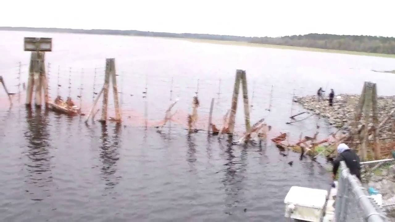 Kirkpatrick (Rodman) Dam - YouTube