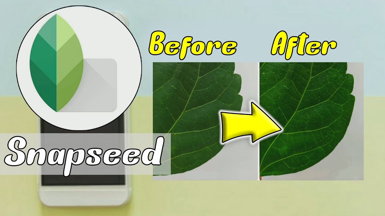 Basic Photo Editing with Snapseed App - YouTube