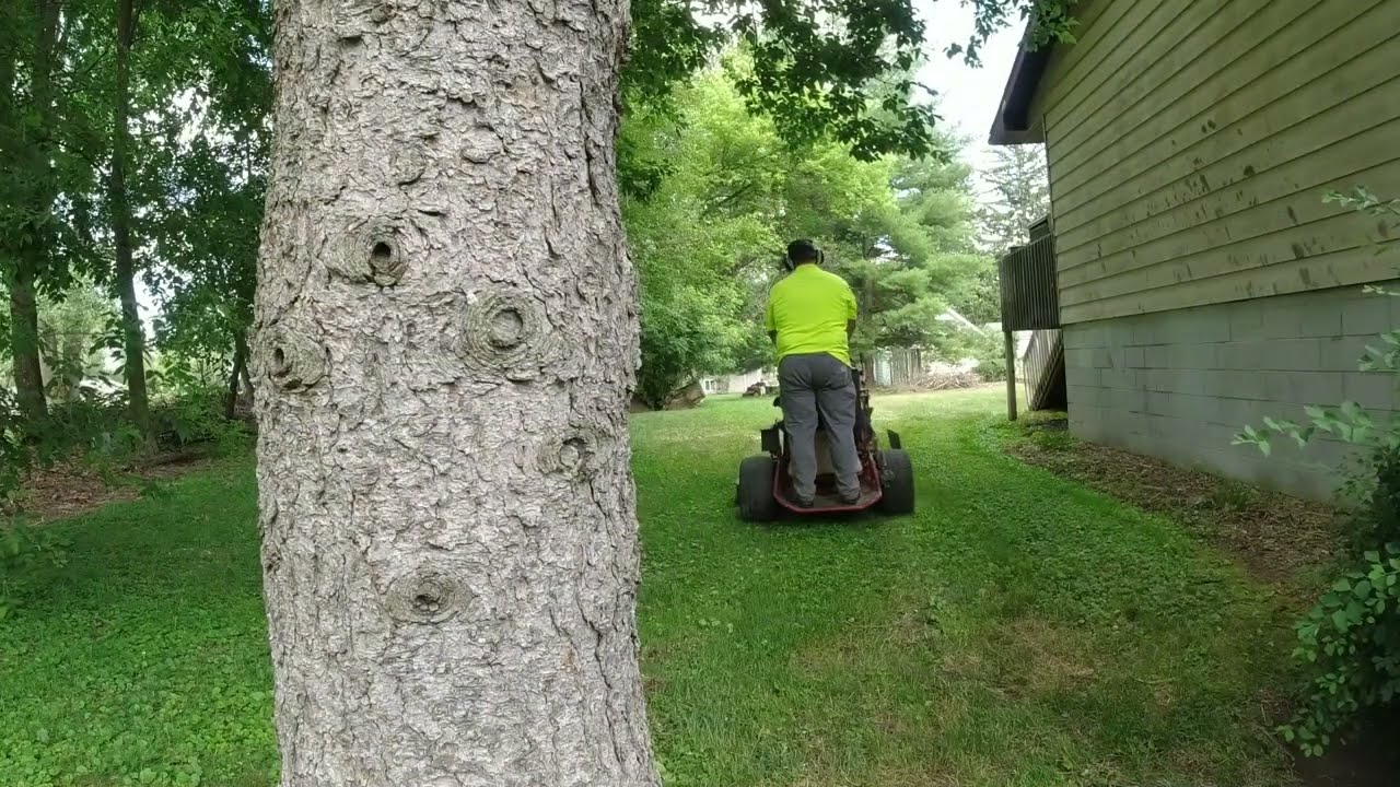 MOWING My MOST PROFITABLE Lawn YouTube mowing-my-most-profitable-lawn-youtube