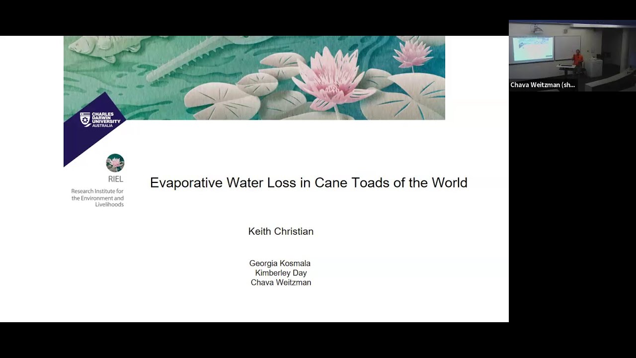 Evaporative water loss in cane toads of the world --- presented by Prof Keith Christian - YouTube