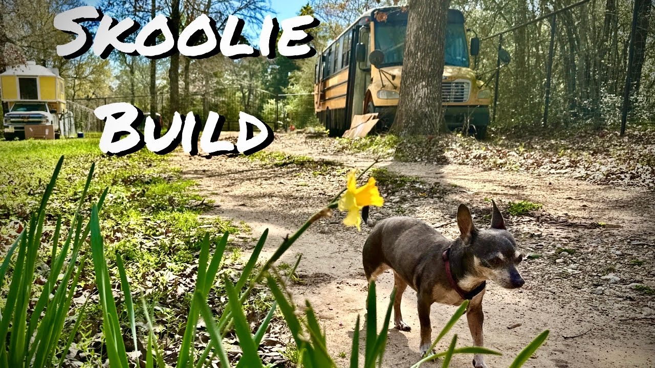 Converting a school bus into a RV - Texas Skoolie Build - YouTube