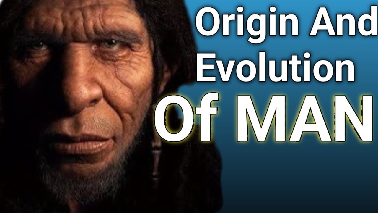 Origin of life I Origin of Species I Evolution of MAN I Evolution class ...
