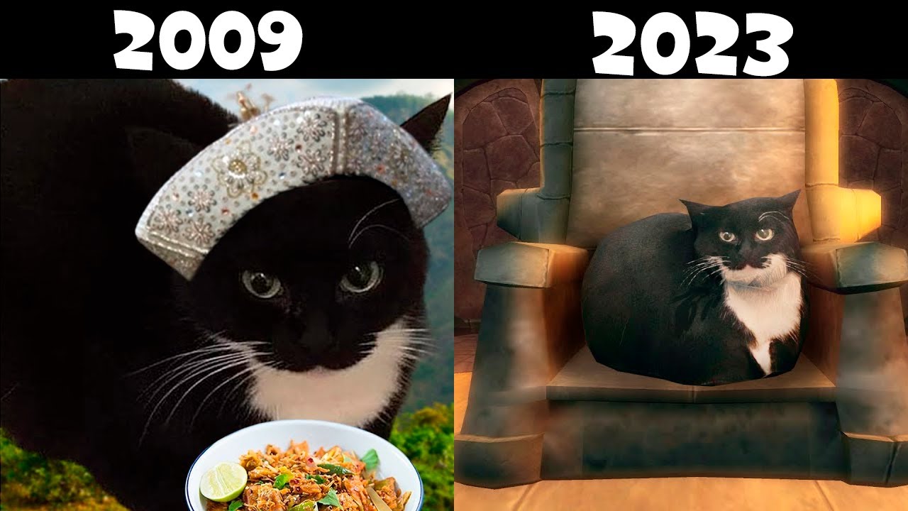 Evolution of Maxwell the Cat meme Real Life - YouTube