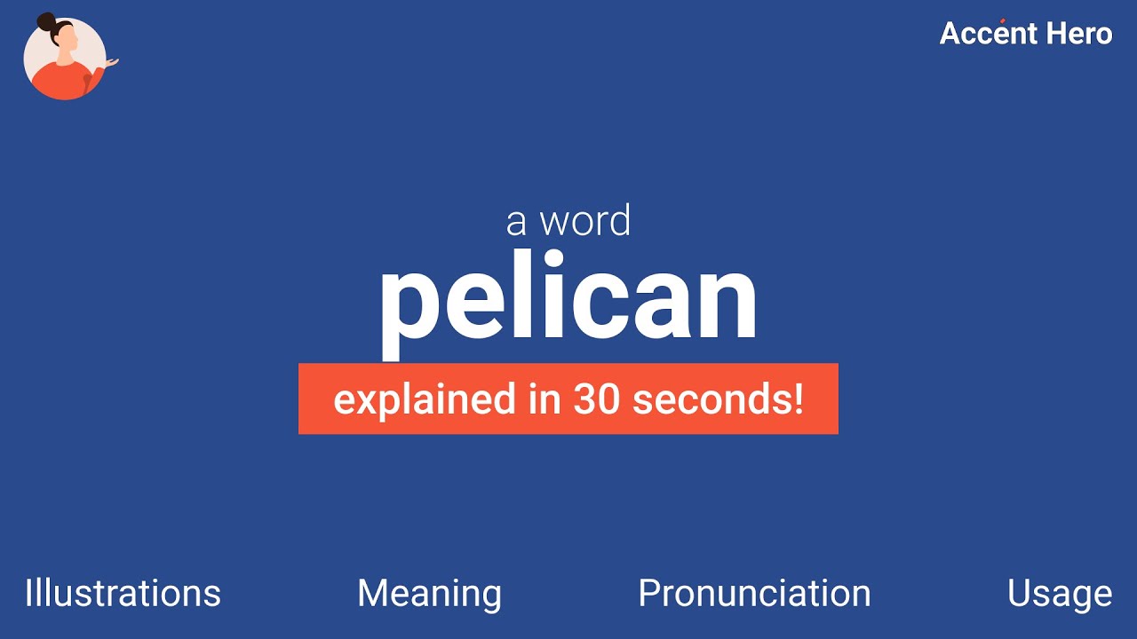 PELICAN - Meaning and Pronunciation - YouTube