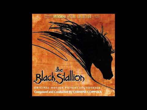 45 The Black Stallion