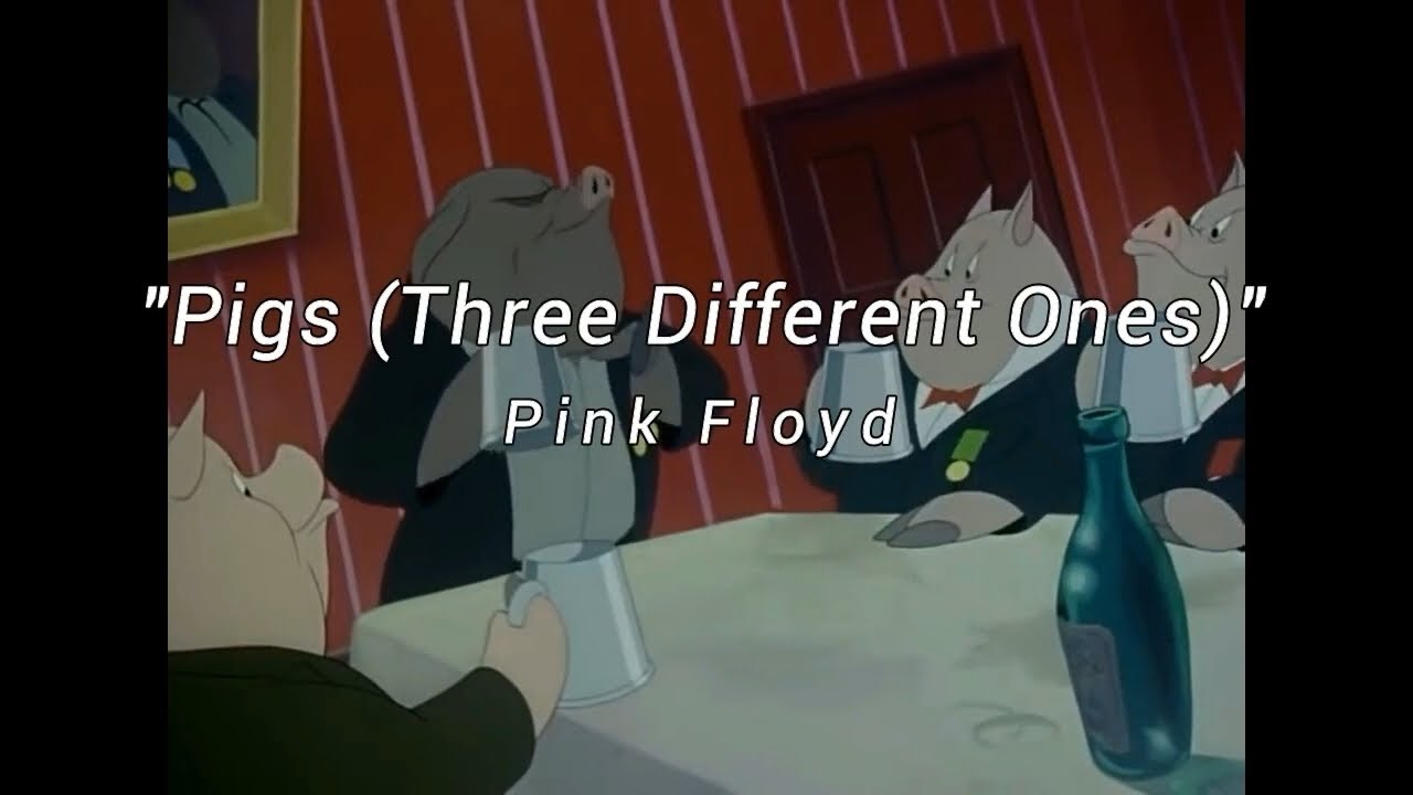 "Pigs (Three Different Ones)" - Pink Floyd [sub. inglés - español ...