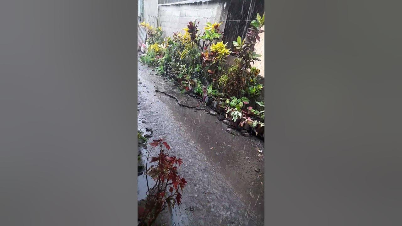 raining in the Philippines # - YouTube