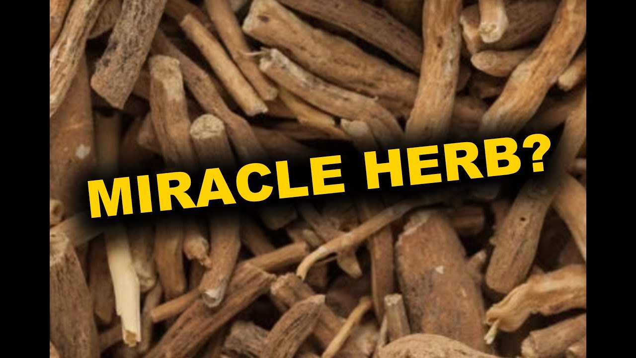 Ashwagandha the miracle herb!? - YouTube